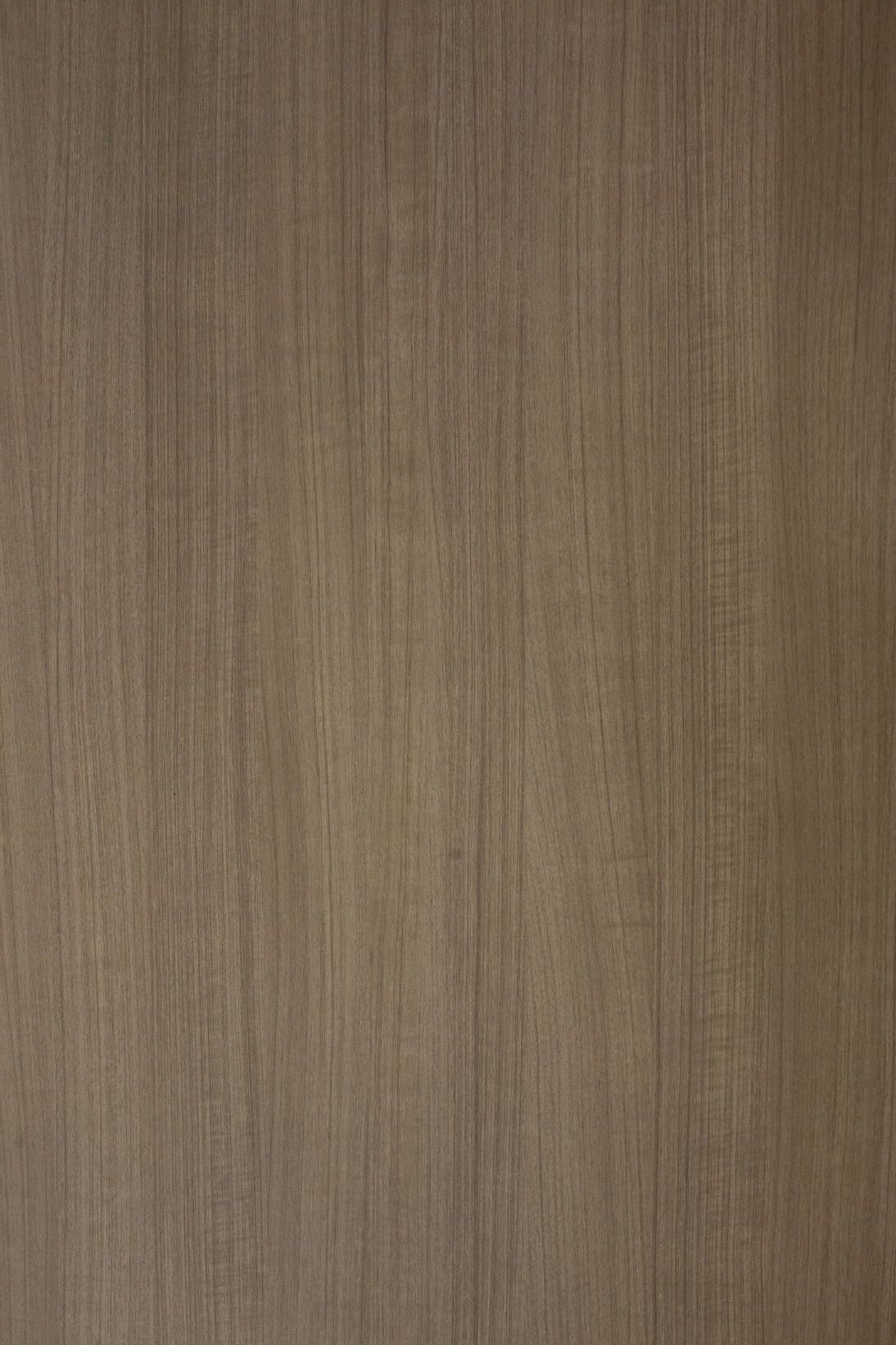 HPL New Collection 19